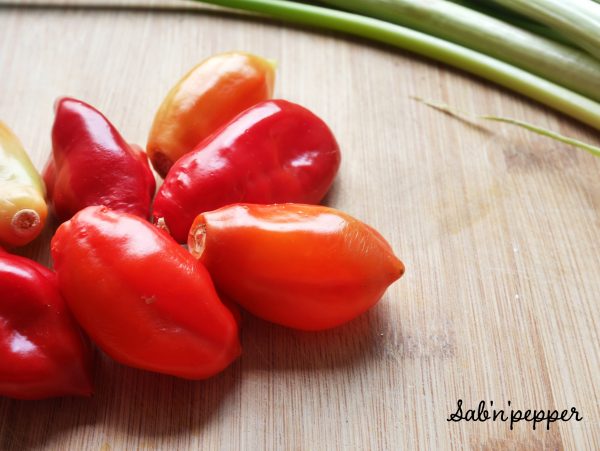Le piment végétarien, ce piment qui ne pique pas ! - Sab'n'Pepper