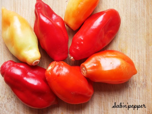 Le piment végétarien, ce piment qui ne pique pas ! - Sab'n'Pepper